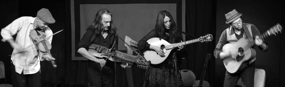 New World String Project – Extraordinary instruments and heartwarming ...